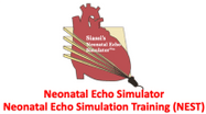 Neonatal Echo Simulator